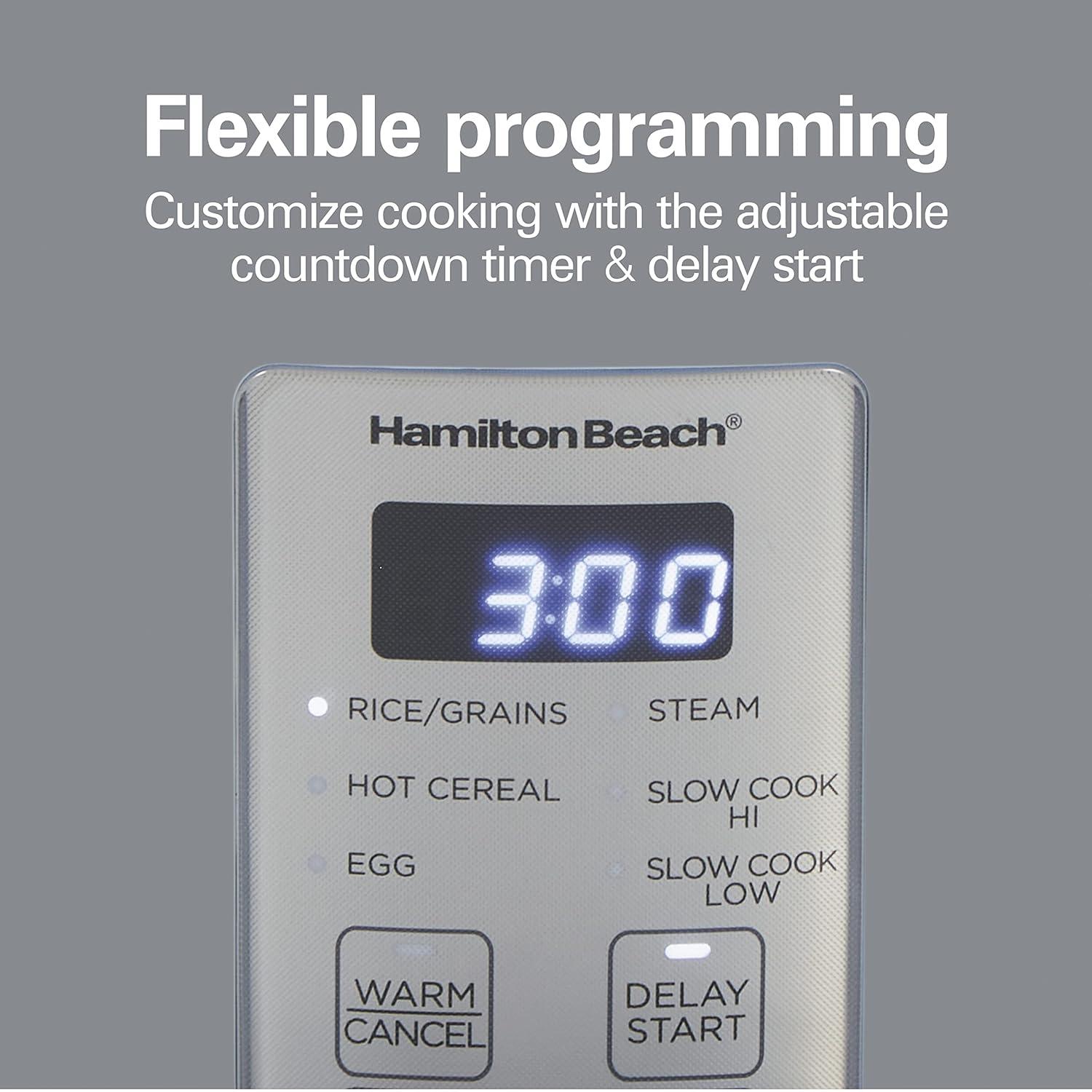 Hamilton Beach Digital Programmable Rice Cooker & Food Steamer, 8 Cups ...